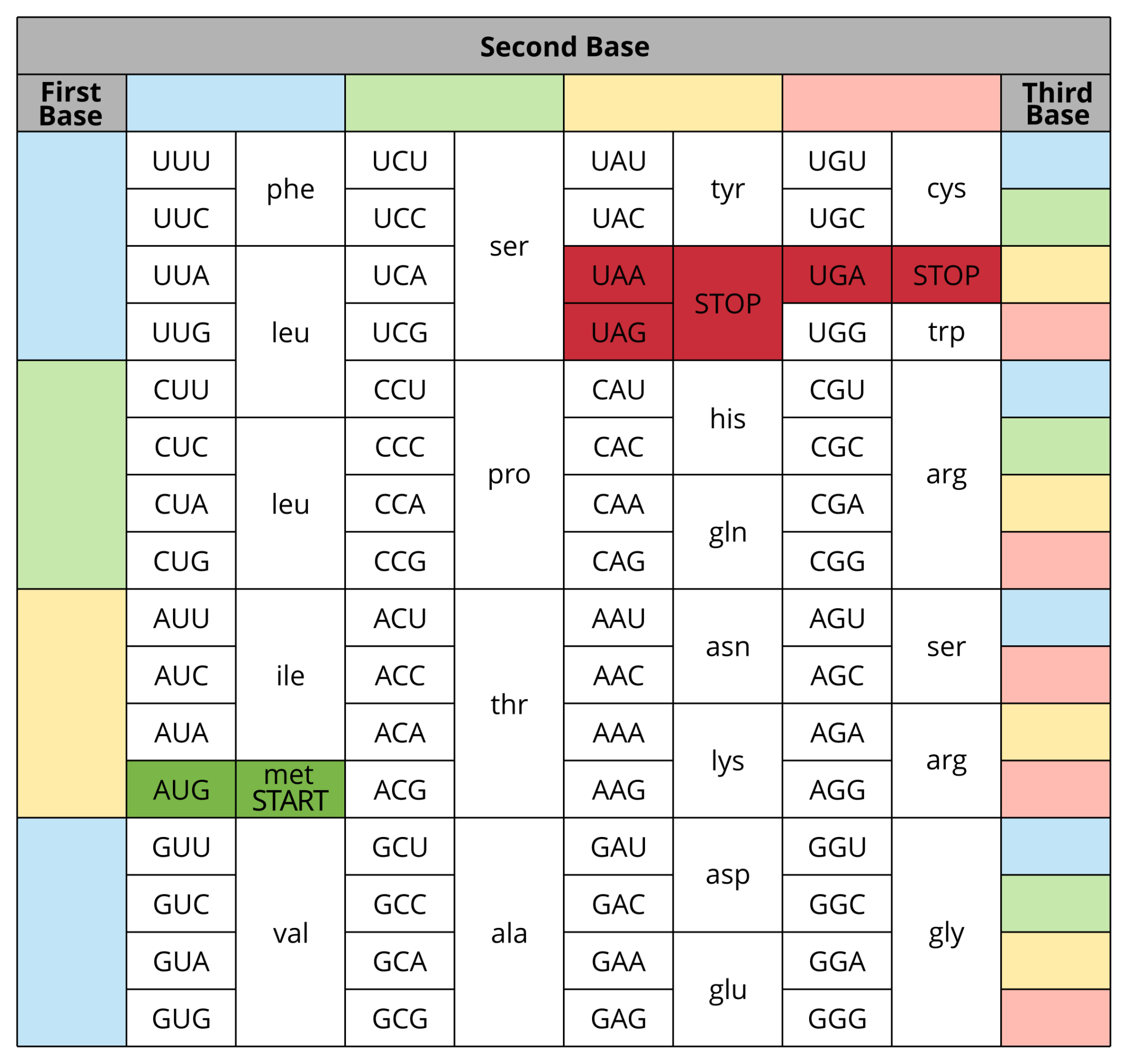 4.3 The flow of biological information – Threshold Concepts in Biochemistry