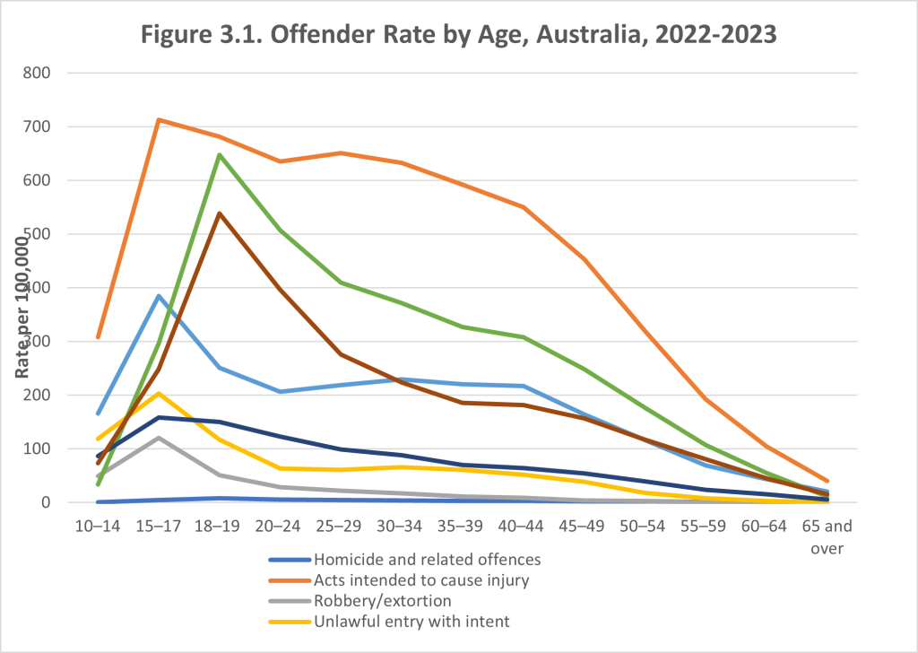 Victims and Offenders – Introduction to Criminology and Criminal Justice