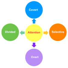 2.3 Attention – Neuroscience, Psychology and Conflict Management